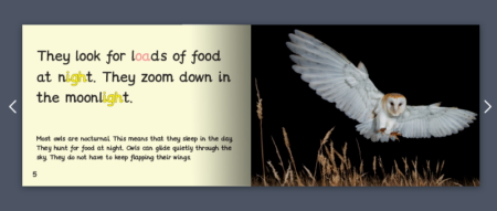 Guide To The Reading Book Stages - Monster Phonics eBooks