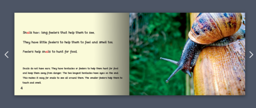 Guide To The Reading Book Stages - Monster Phonics eBooks